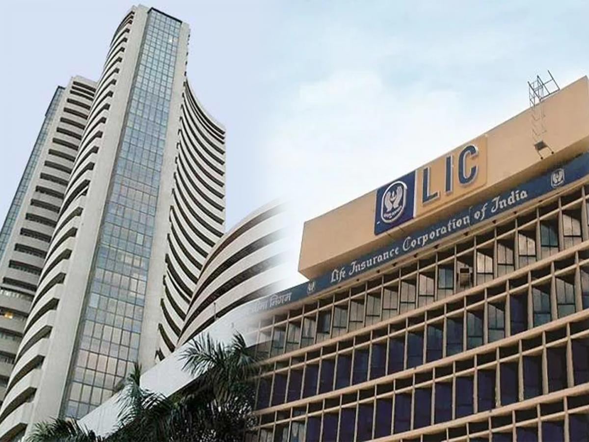 LIC चा मोठा निर्णय! १०५ कंपन्यांतील हिस्सा कमी केला; किती कोटींची झाली ...