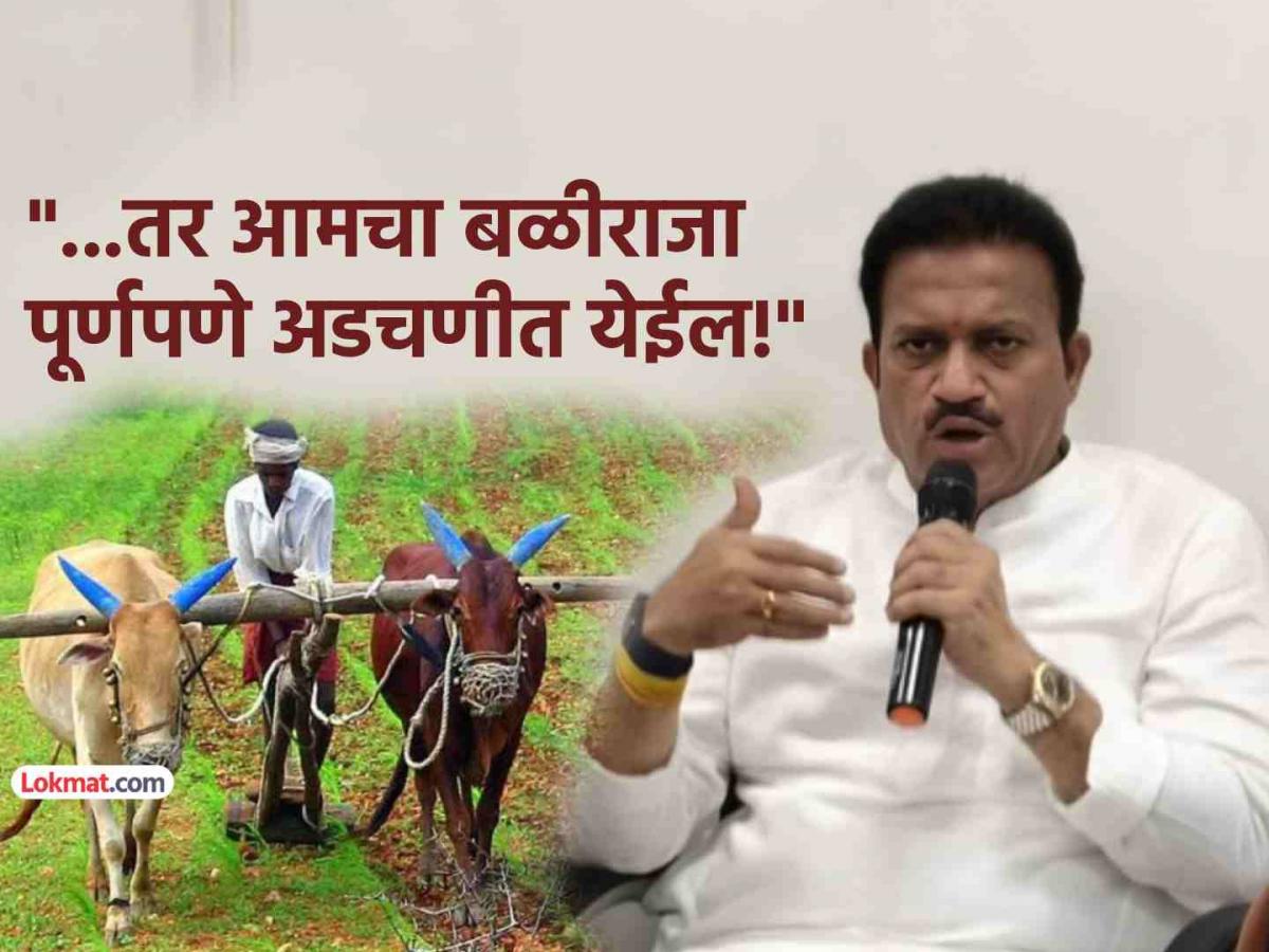 आधी कांदा, आता साखर निर्यातीवर बंदी! सरकारचे काही छुपे नियोजन आहे का ...