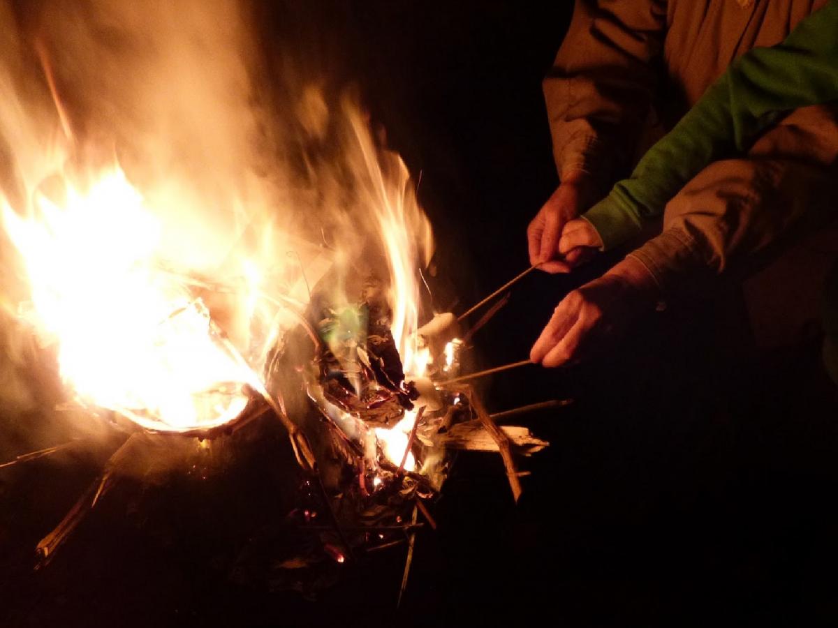 शेकोटीसमोर बसलेल्या मनोरुग्णाचा होरपळून मृत्यू, साताऱ्यातील घटना ...
