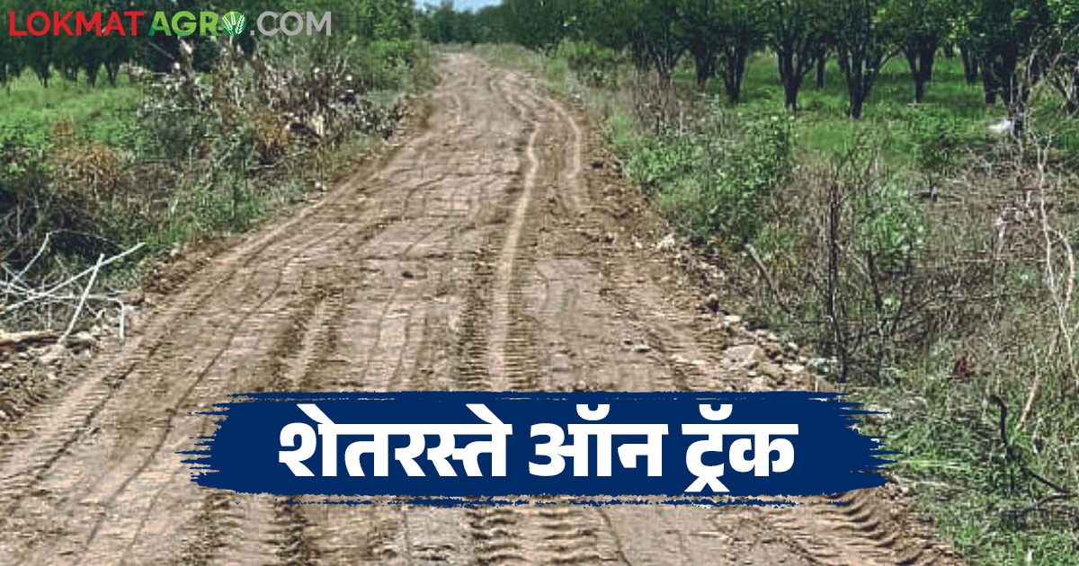 latest news Shet Pandan Raste Yojana: Transport of agricultural goods ...