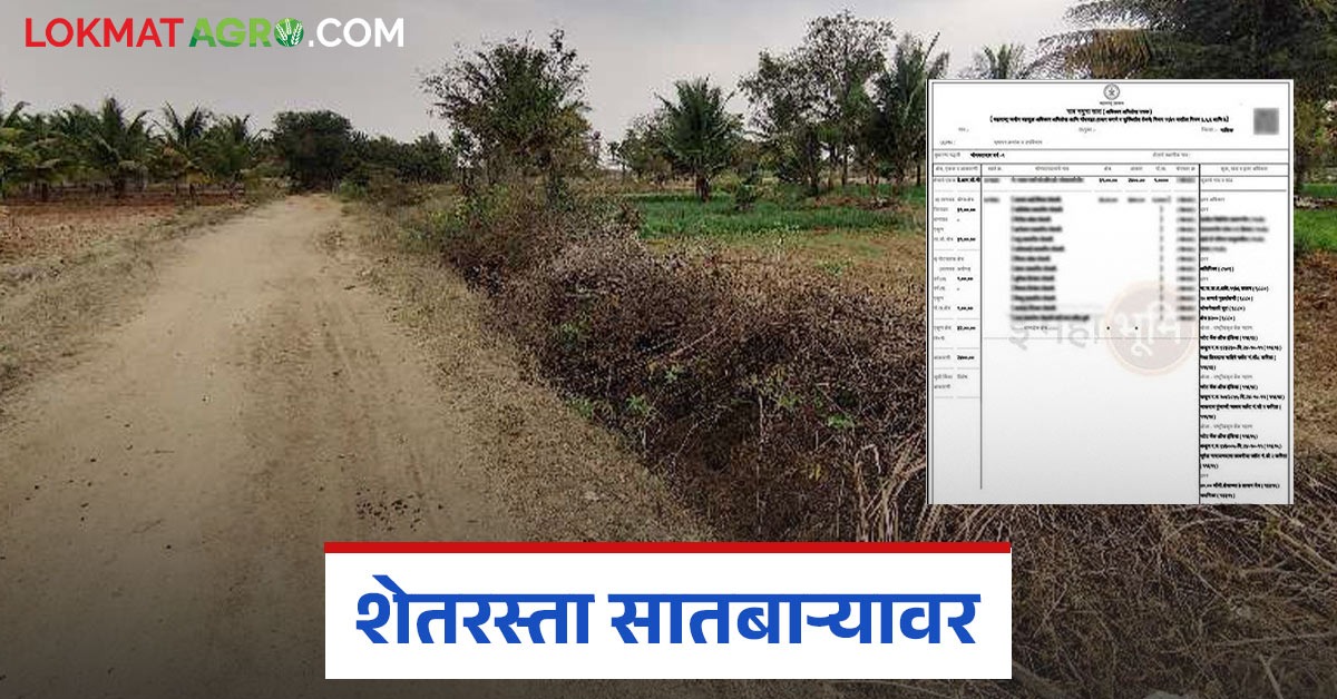 आता शेतरस्त्यांची सातबारावरही होणार नोंद; काय आहे निर्णय? वाचा सविस्तर ...