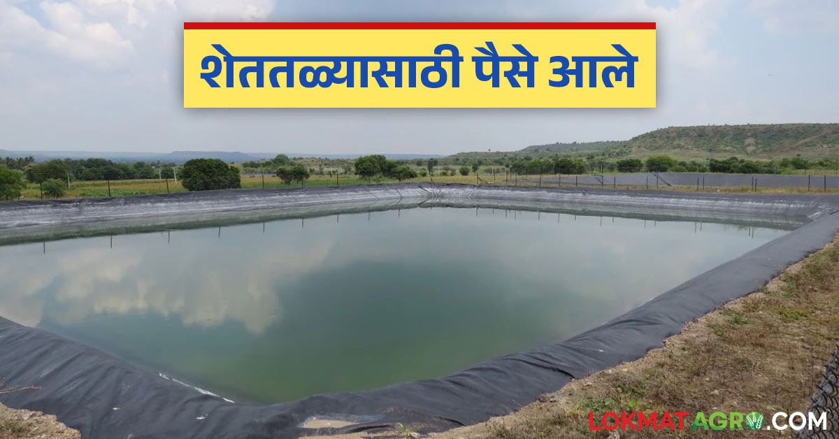 Shet Tale Yojana : वैयक्तिक शेततळे खोदण्यासाठी शेतकऱ्यांना सहा कोटीचा ...
