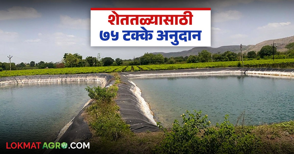 उन्हाळ्यात शेततळे बांधून घ्या, पाण्याचा ताण मिटंल, 75 टक्के अनुदान ...