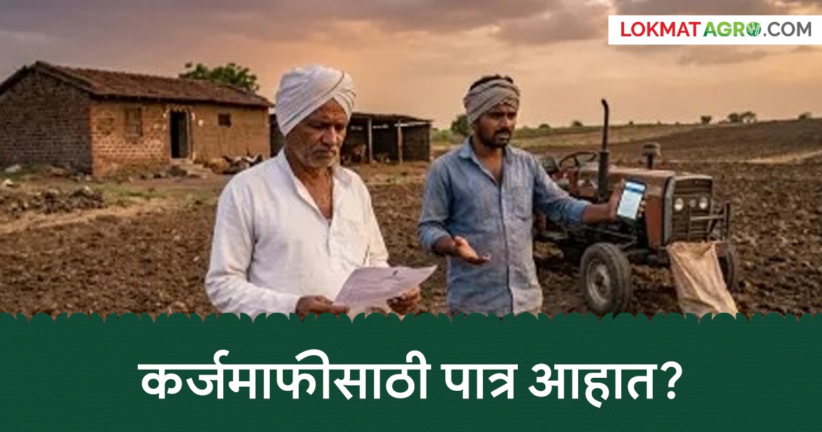 Shetkari Karjmafi : शेतकऱ्यांच्या याद्या तयार? तुम्हीही कर्जमाफीसाठी ...