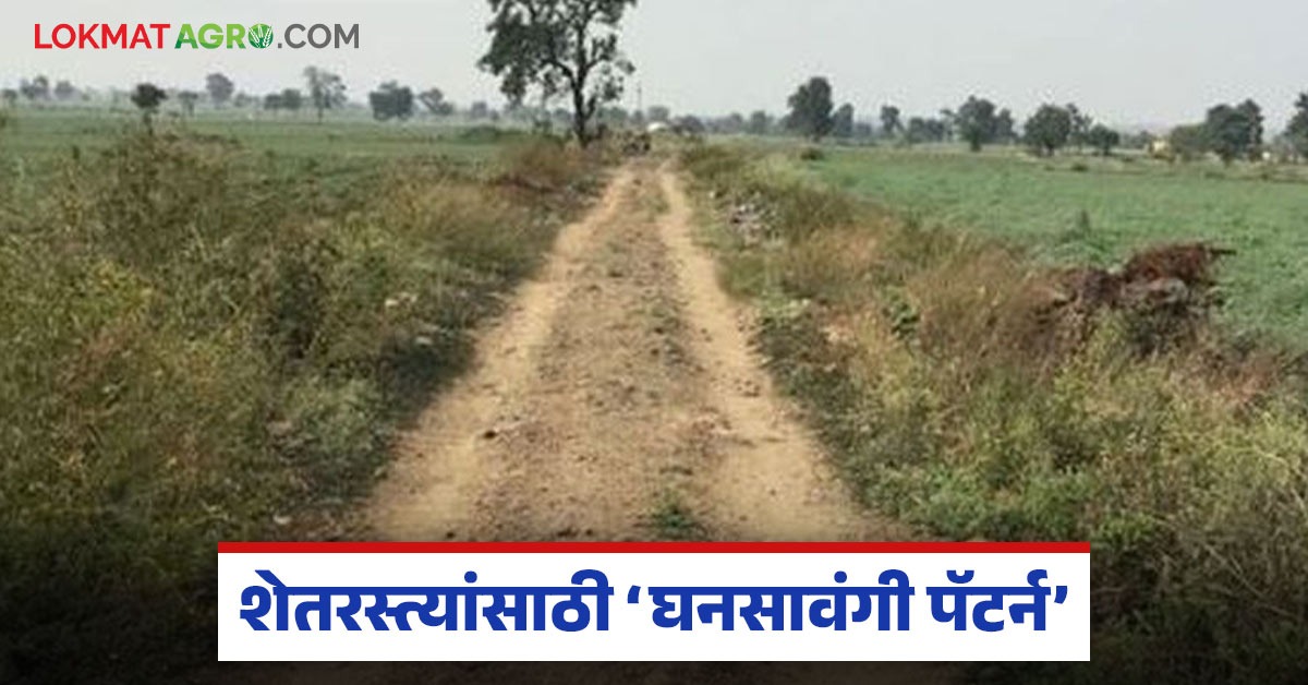 latest news Baliraja Shet Panand Road Scheme: 'Ghansawangi pattern' is ...