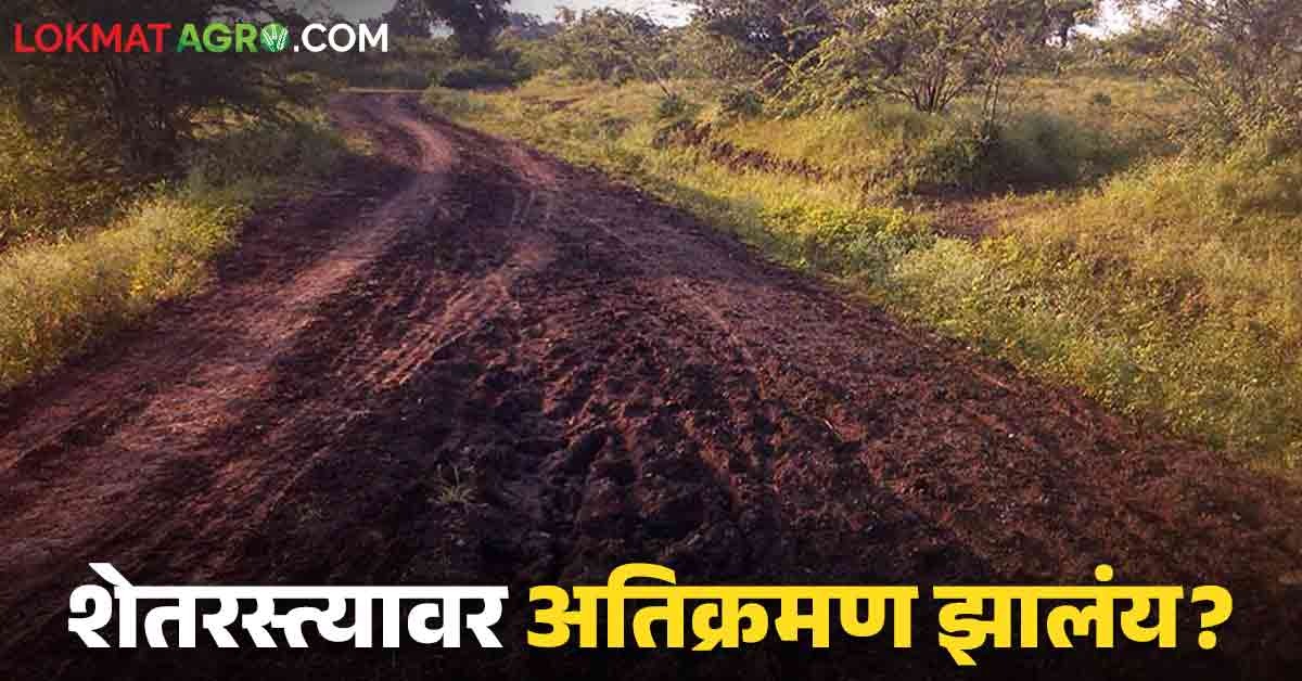 Shet Rasta Kayda : शेतात जाण्याच्या रस्त्यावर अतिक्रमण झालंय यासाठी ...