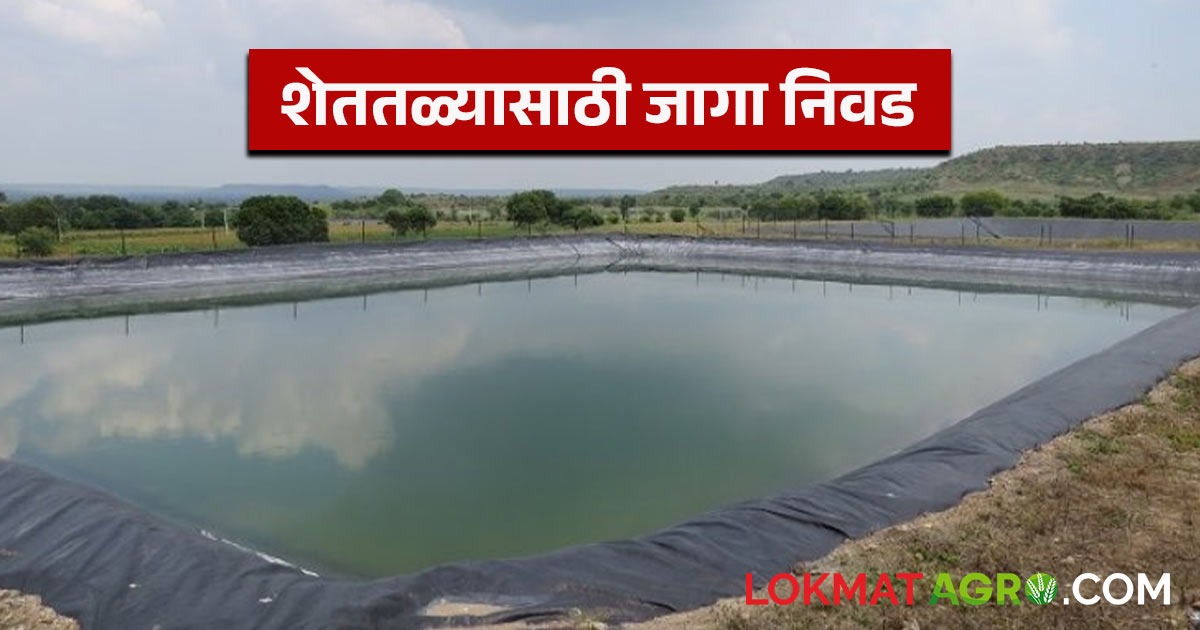 Shet tale : शेततळे बांधायचे असेल तर, जागा कशी असायला हवी? जाणून घ्या ...