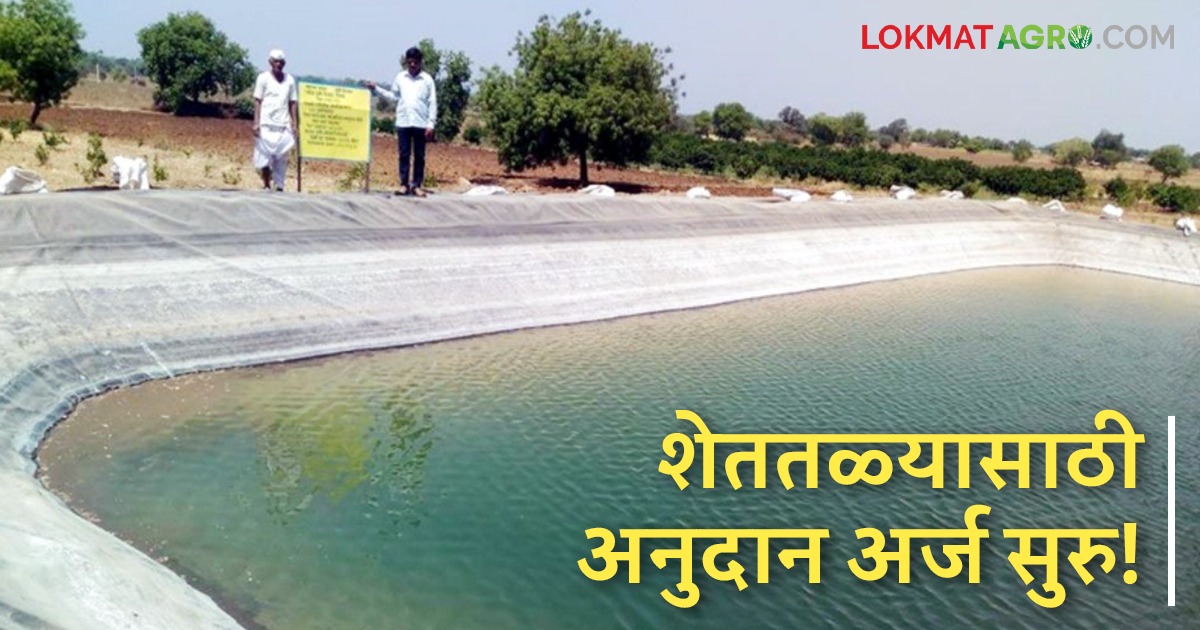 Applying for a Shettale grant scheme; Be sure to read 'these' things