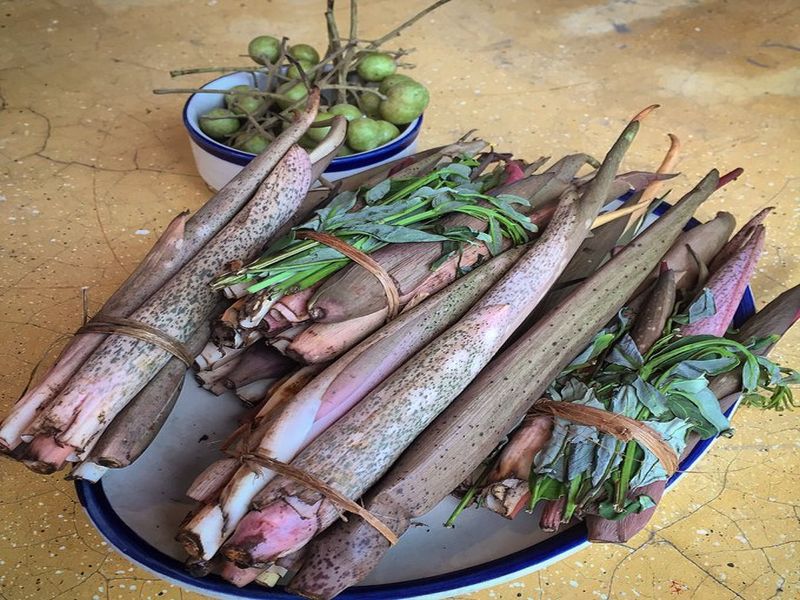 पावसाळ्यात फक्त सात दिवस मिळणारी शेवळाची रानभाजी खा ,असं ऋजुता दिवेकर ...