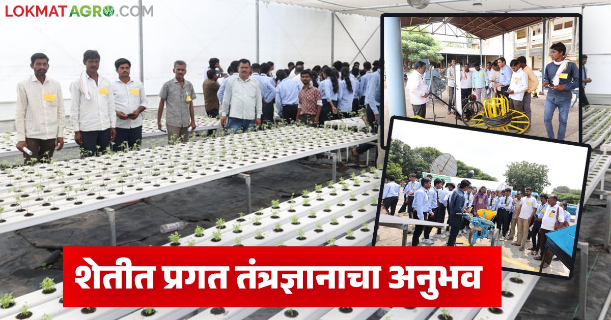latest news Kharif Shivar Feri Akola : Farmers celebrate Shivar festival