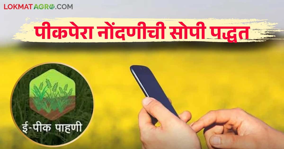 E-Pik Pahani : माझी शेती, माझा सातबारा; मीच नोंदविणार पीकपेरा | E-Pik ...