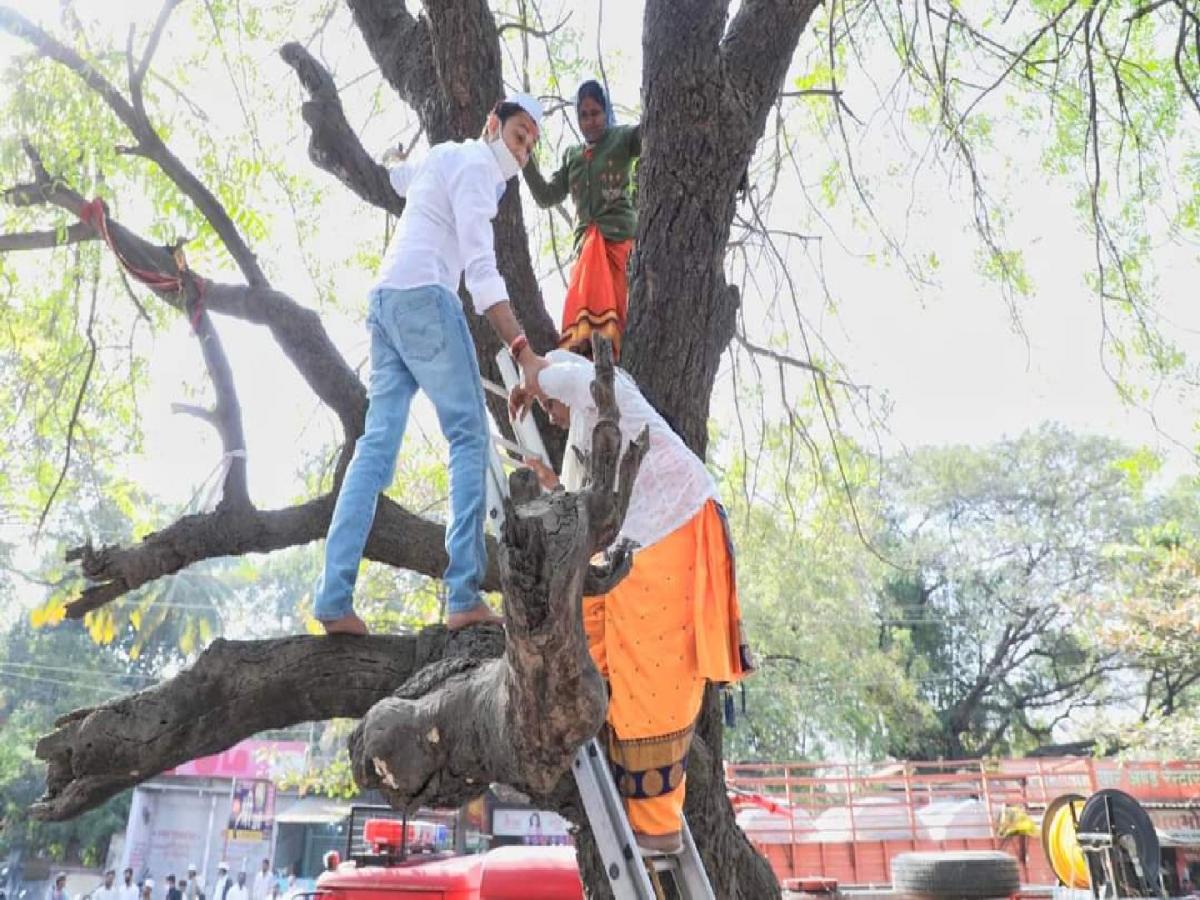 महिला आंदोलकांची समजूत काढण्यासाठी बीडचे आमदार संदीप क्षीरसागर झाडावर ...