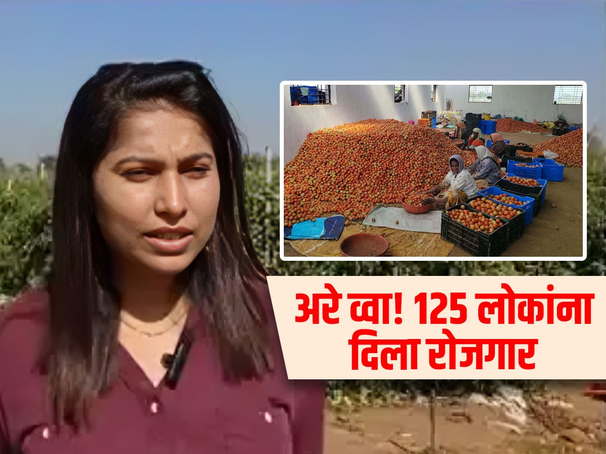 जॉब सोडला अन् शेती केली! MBA तरुणीची कमाल-टोमॅटो विकून करतेय ...