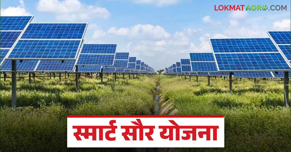 latest news Smart Solar Scheme: Moving towards green energy; Who will ...