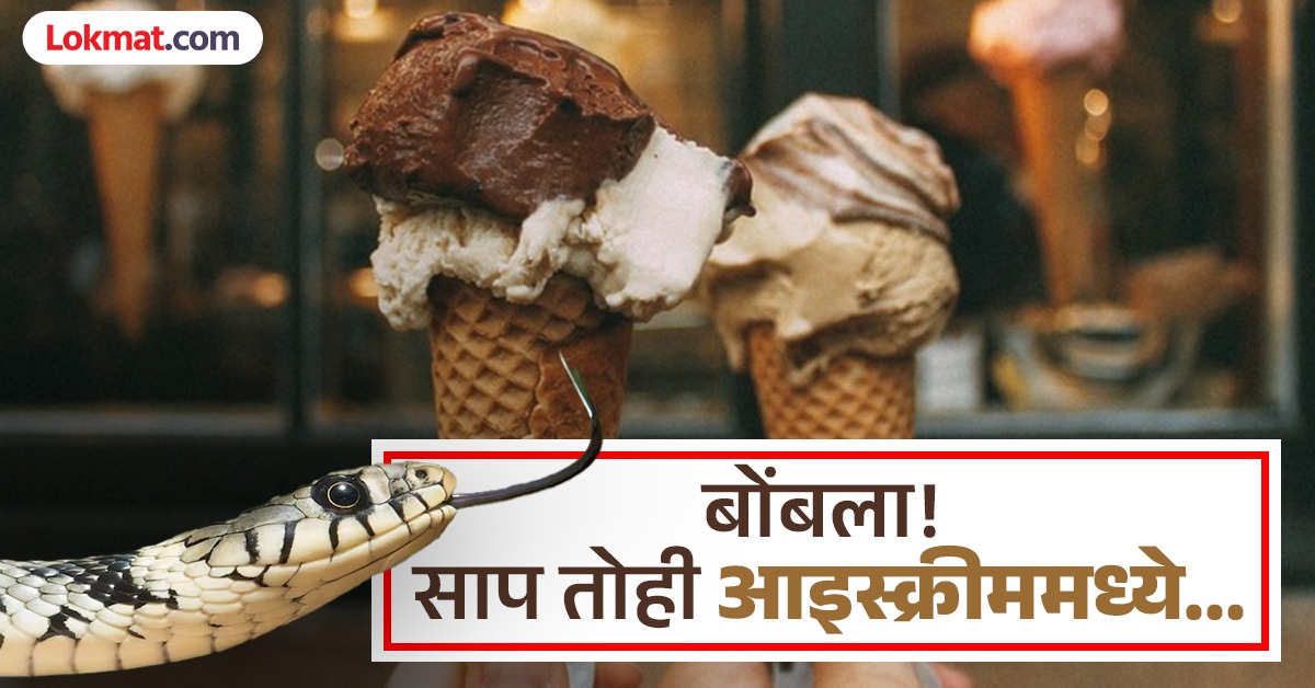 धक्कादायक! आइस्क्रीम खाणार इतक्यात दिसला गोठलेला साप, फोटो बघून लोक 'कोमात' - Marathi News ...