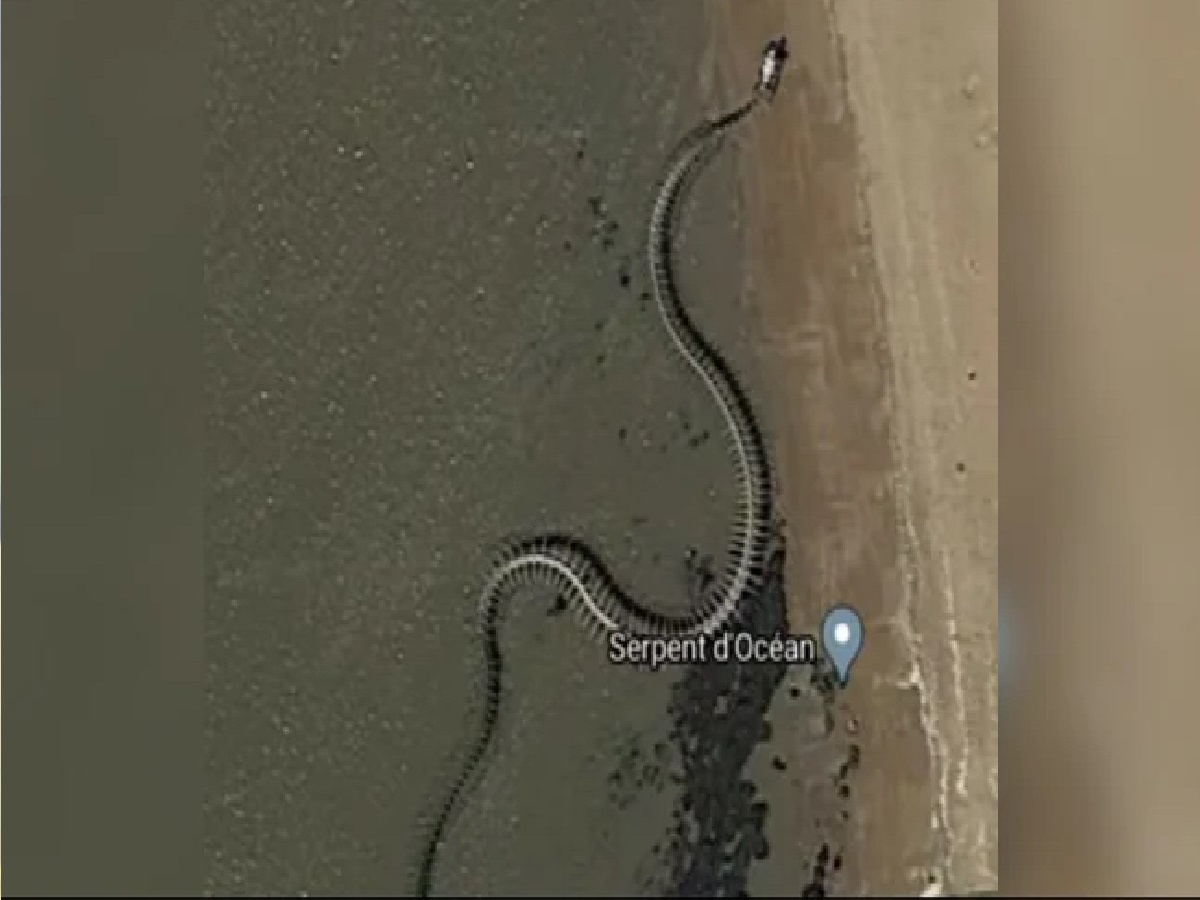 Google Maps वर दिसला जगातील सर्वात मोठ्या सापाचा सांगाडा, समोर आली मोठी ...