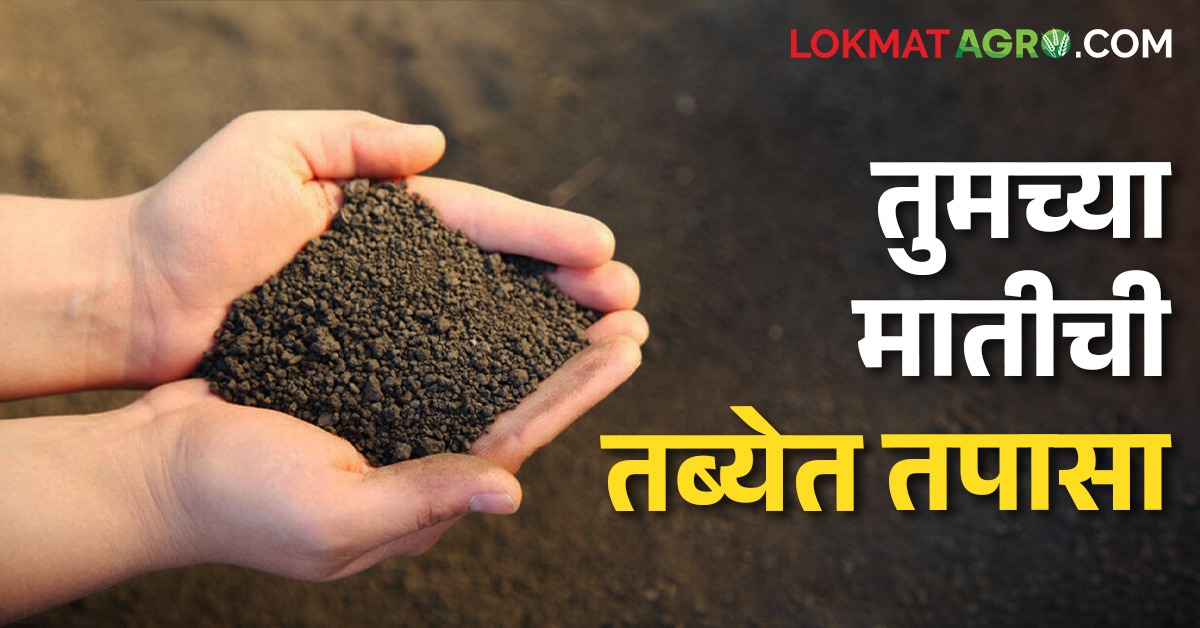 Soil Testing खरीप आला आपल्या मातीचं आरोग्य तपासून घ्या | Kharif Season ...