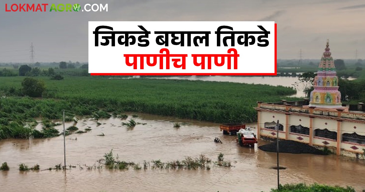 Solapur Mahapur : सोलापूर जिल्ह्यातील 'चांदणी' नदीला महापूर; १० हजार ...