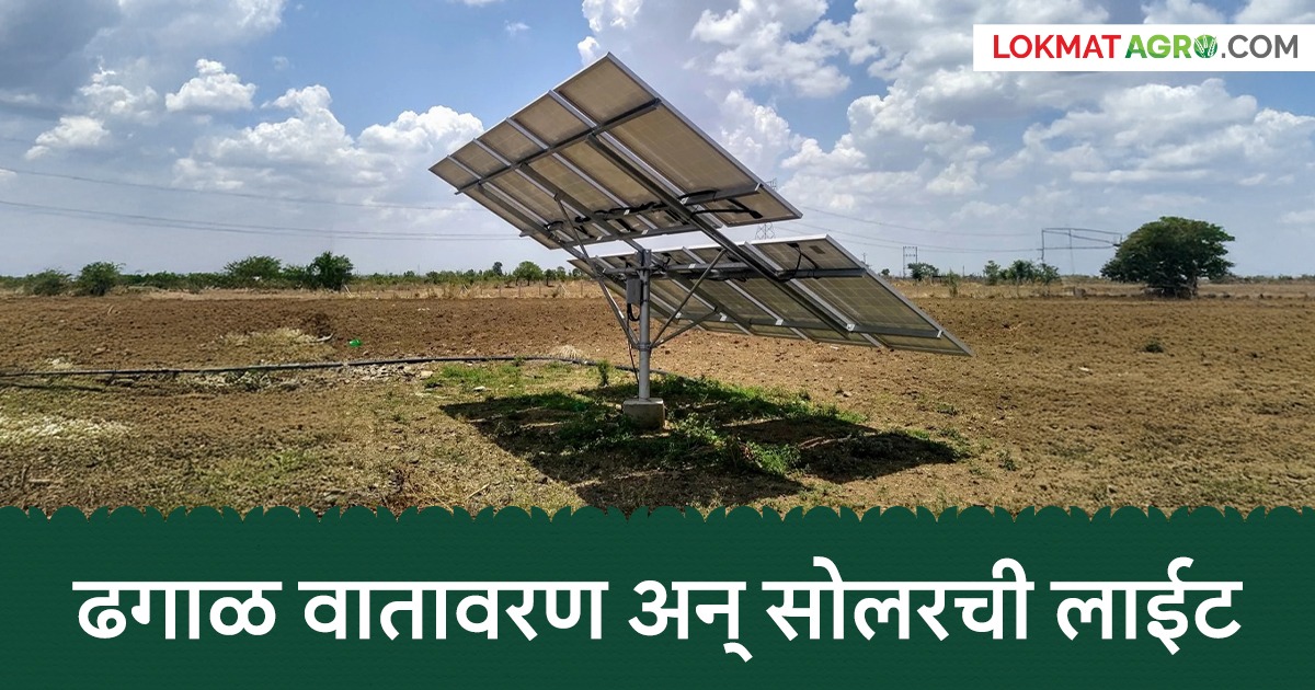 Solar Panel Light : ढगाळ वातावरणात शेतीसाठीचा सोलर अन् रूफ टॉप सोलर ...