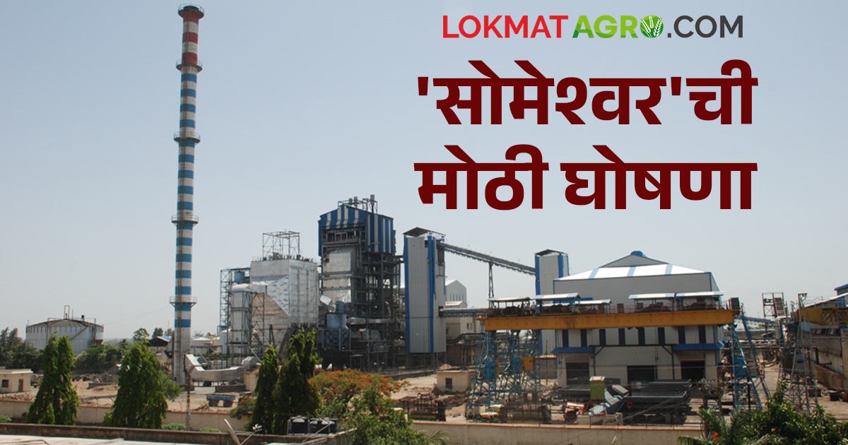 Someshwar Sakhar Karkhana : सोमेश्वर कारखाना शिल्लक असणाऱ्या संपूर्ण ...