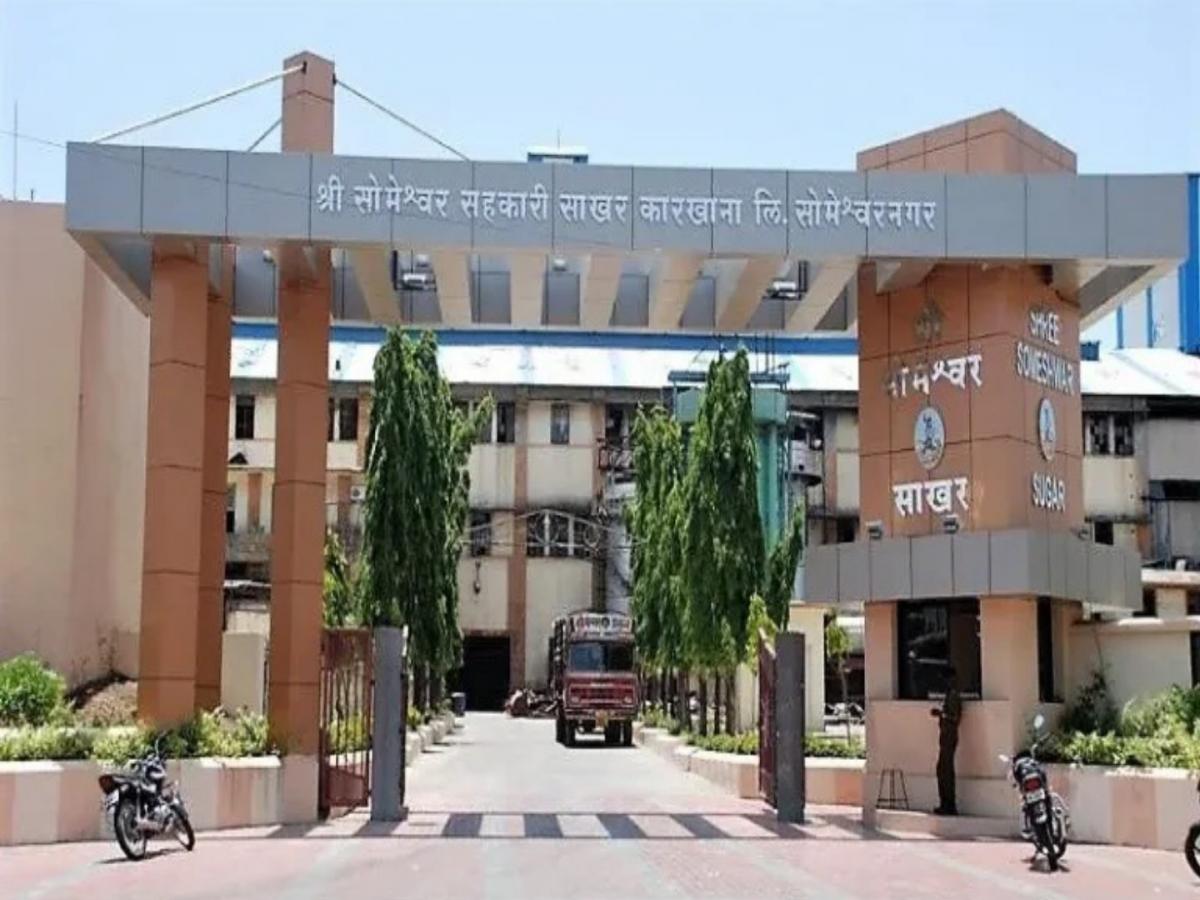 सोमेश्वर कारखान्याने पटकावले ‘व्हीएसआय’चे तीन पुरस्कार Pune Marathi ...
