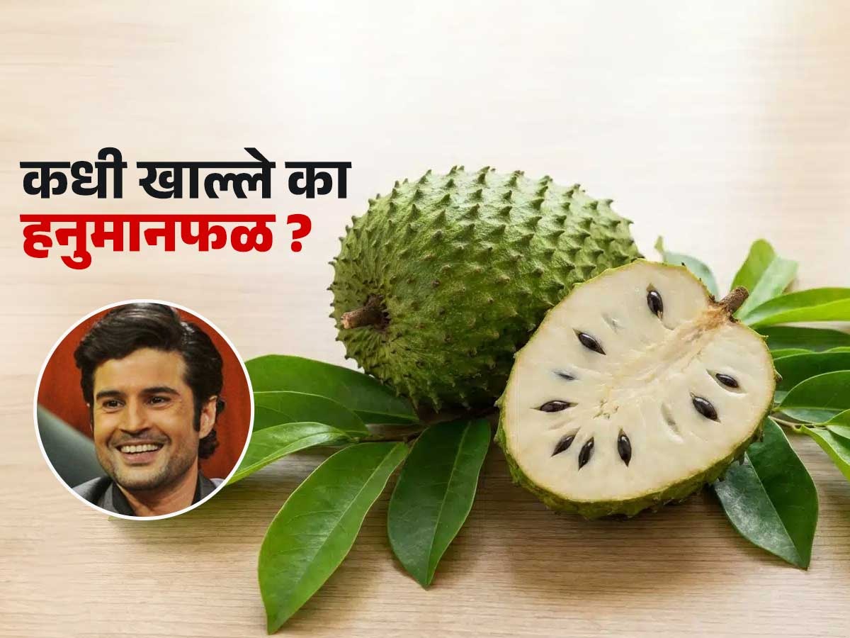हनुमानफळ तुम्ही कधी खाल्लं आहे का? स्ट्रेस कमी करणारं आंबटगोड फळ, पाहा ...