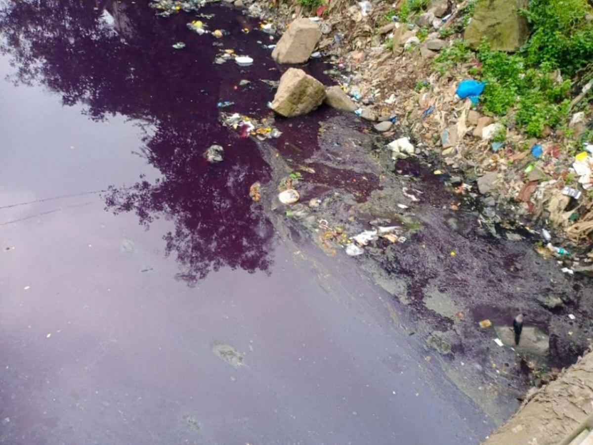 अंबरनाथमधील वालधुनी झाली गुलाबी नदी; प्रदूषण कमी होण्याची चिन्हेच नाहीत ...