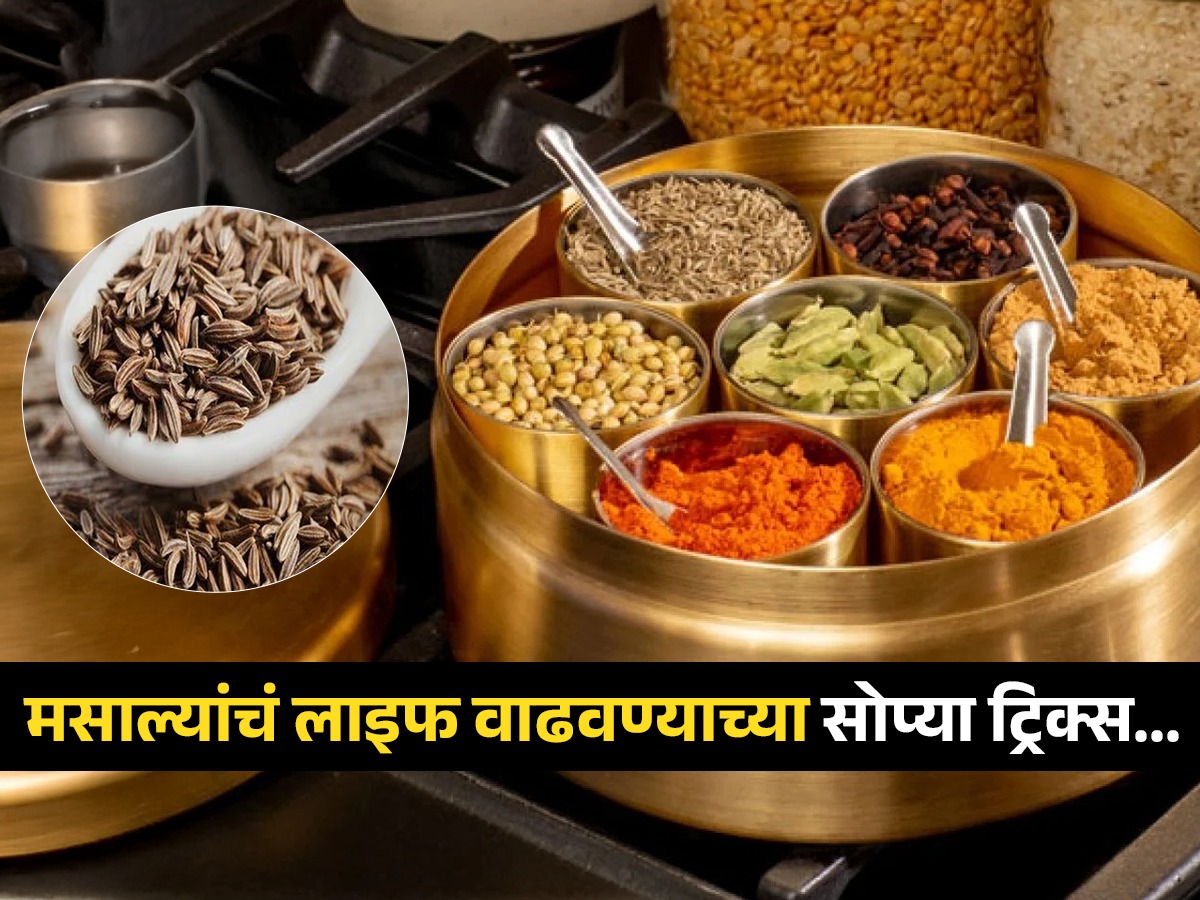 तिखट हळद जिरे मसाले होणार नाहीत खराब, लागणार नाही जाळं; पाहा ही खास ...