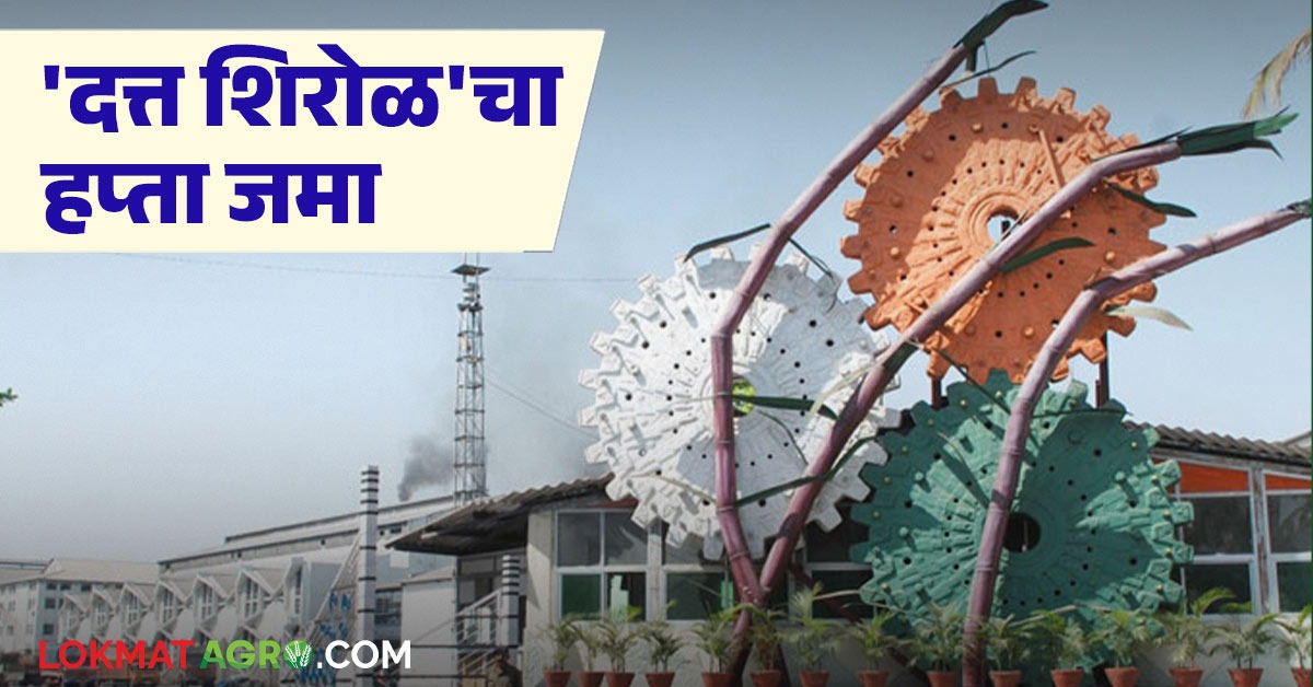 श्री दत्त साखर कारखान्याचे ऊस बिल शेतकऱ्यांच्या खात्यावर जमा; विनाकपात ...
