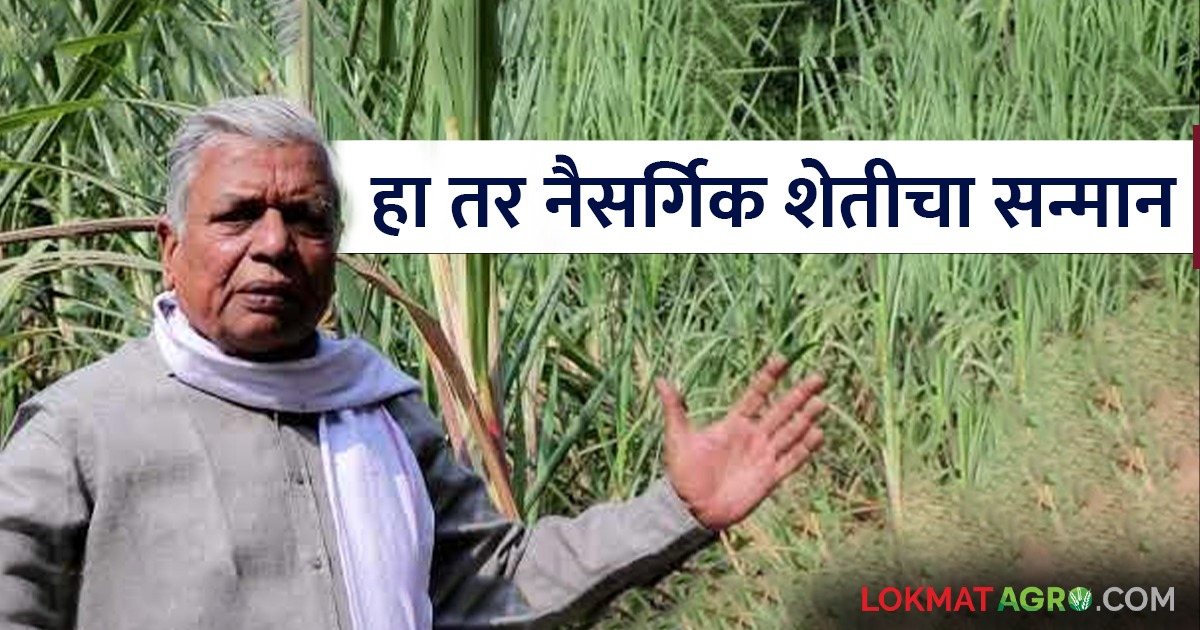 'Padma Shri' award announced for Subhash Sharma of Yavatmal, the father ...