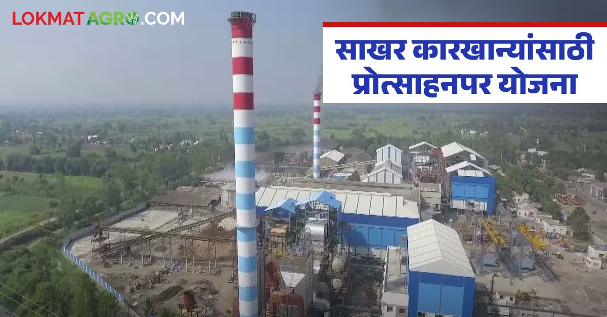 Sugar Factory Scheme : राज्यातील 'या' साखर कारखान्यांसाठी प्रोत्साहनपर ...