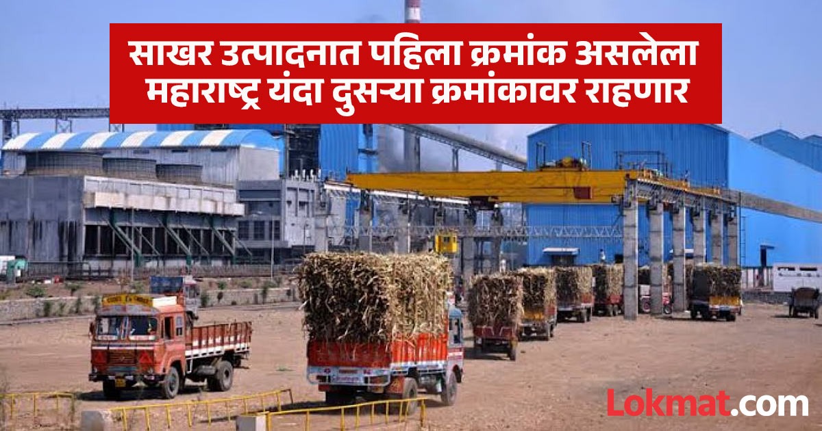 Sugar factory : साखर उत्पादनात राज्याचा क्रमांक घसरणार; नेमकं कारण काय ...