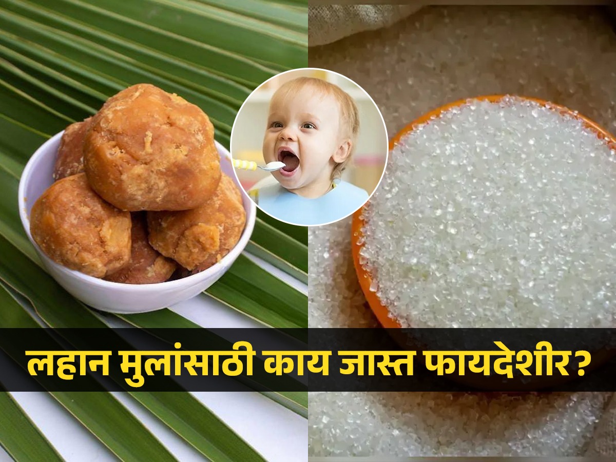 साखर की गूळ चिमुकल्यांसाठी काय जास्त फायदेशीर? डॉक्टरांनी सांगितला ...