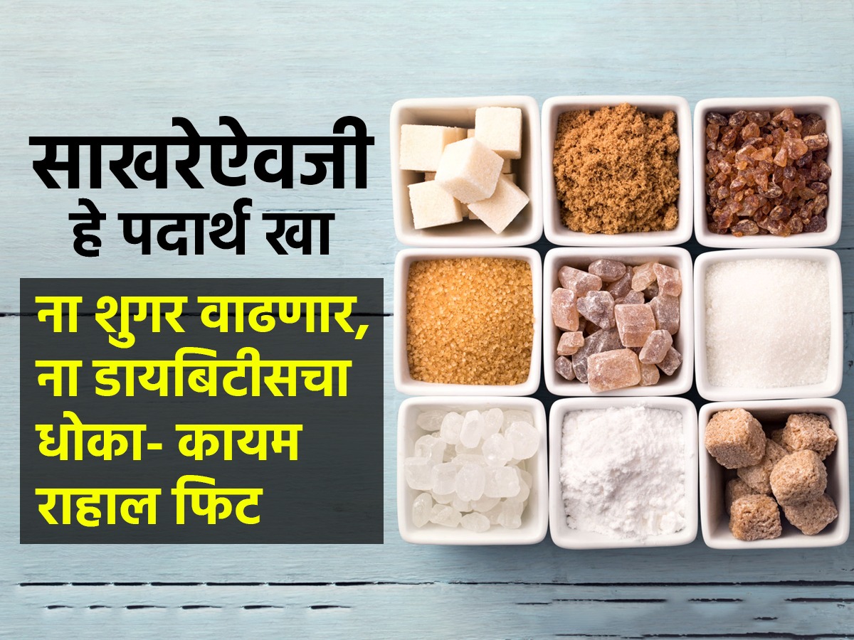 गोड आवडतं पण साखर खायची नाही? हे ४ पदार्थ खा, शुगर आणि वजन वाढण्याचा ...