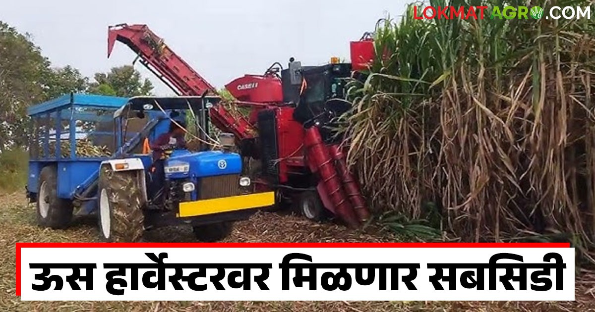 latest news Sugarcane Harvester Scheme: Subsidy will be available on ...