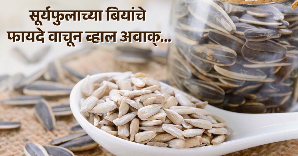 कॉलेस्ट्रोल कमी करण्यासाठी खा सूर्यफुलाच्या बीया, फायदे वाचून व्हाल ...