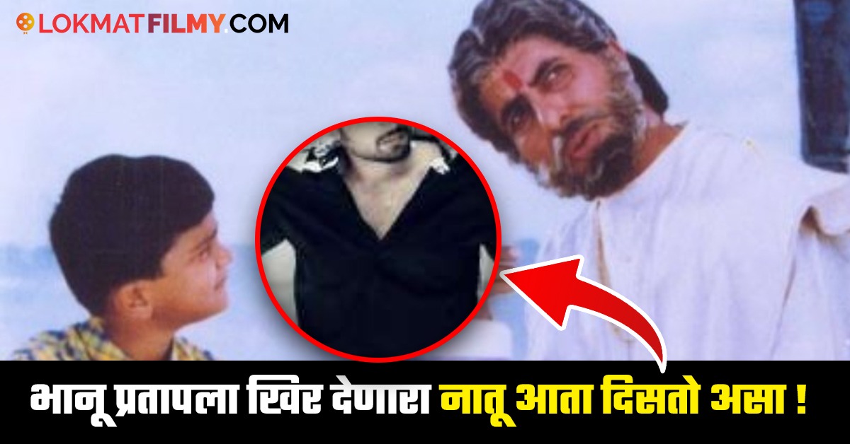 भानू प्रताप सिंगचा नातू आता काय करतो? २५ वर्षांनंतर ओळखणंही झालंय कठीण ...