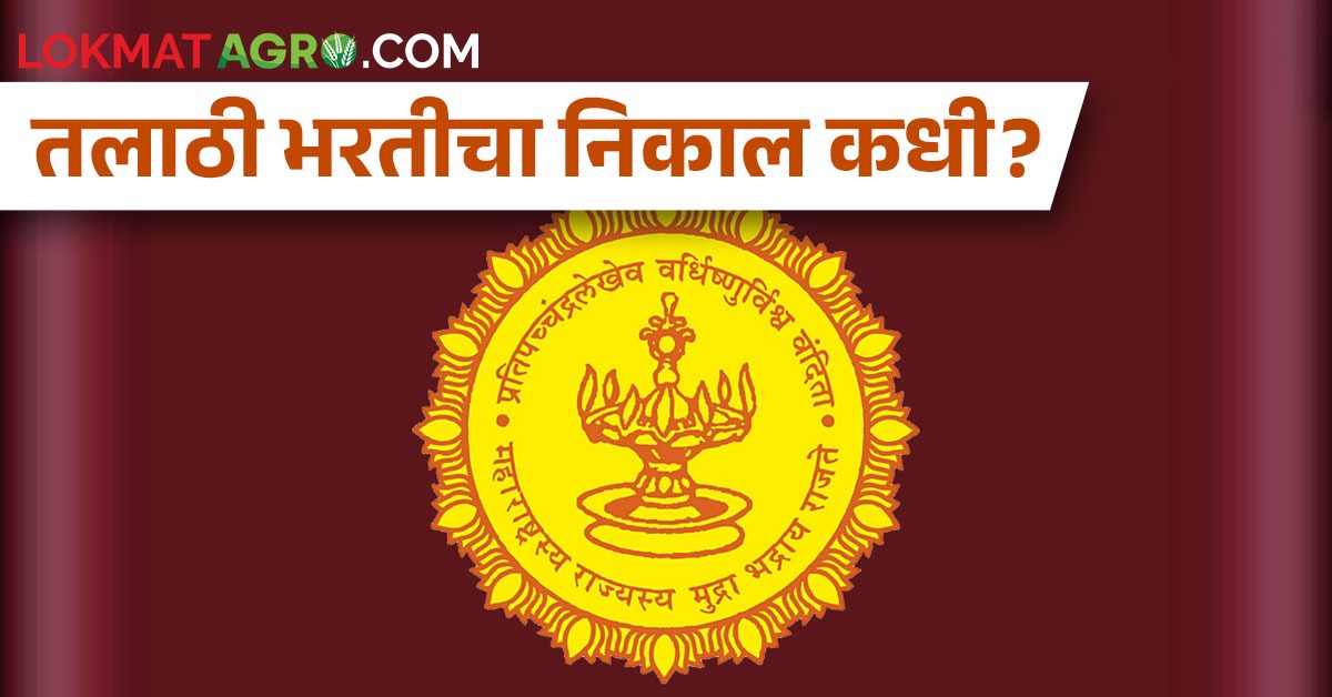 तलाठी भरतीचा निकाल आठवडाभरात लागण्याची शक्यता | The result of Talathi ...