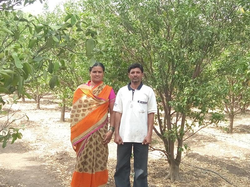 तरुणाची फळबागेतून लाखोची कमाई! Ahilyanagar Marathi News | Earn millions ...