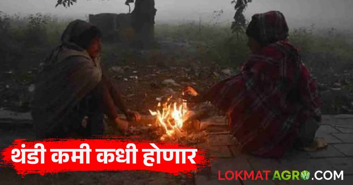 Maharashtra Cold Wave: महाराष्ट्रात ख्रिसमस दरम्यान थंडीची लाट, ही थंडी ...