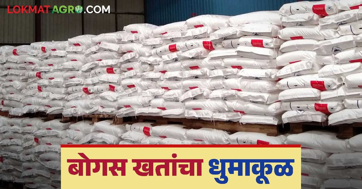 Fertilizer Scam : बोगस खते येतात कुठून कृषी विभागाला कळेना; बाजारात ...