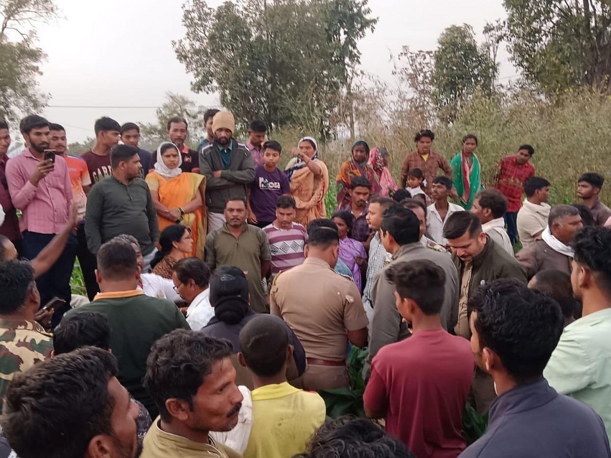 वाघाच्या हल्ल्यात शेतकरी महिला ठार, सडक अर्जुनी तालुक्यातील माहुली ...