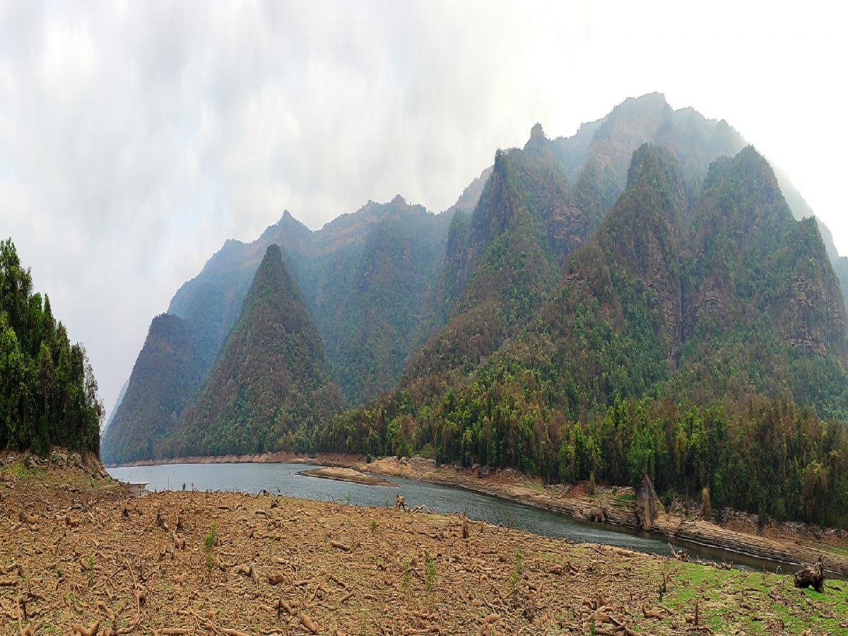 'तिलारी जंगल' वन्यजीवांचा सर्वोत्तम भ्रमण मार्ग; व्याघ्र प्रकल्प ...