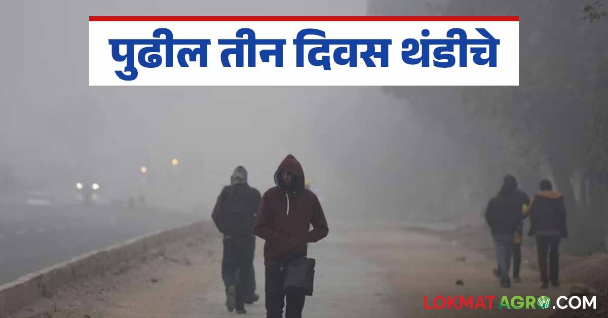 Maharashtra Weather Update : पुढील तीन दिवस महाराष्ट्रात थंडी, मात्र ...