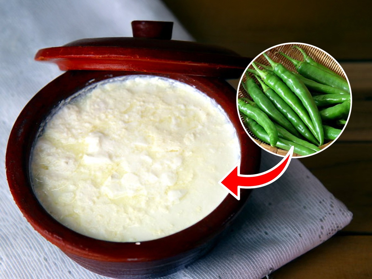 घट्ट कवडी दही लावण्यासाठी मिरचीची एक ट्रिक, अधमुरं दही होईल मस्त ...