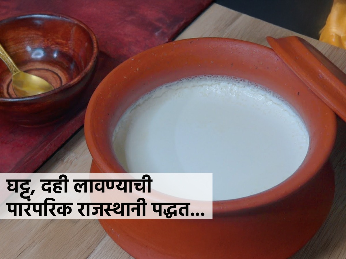 कवडी दही लावण्याची राजस्थानी पारंपरिक पद्धत! दही होईल घट्ट व दाट ...