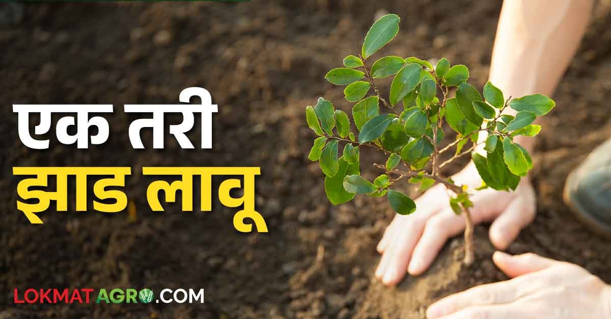 World Environment Day 2024: एक तरी झाड लावू मित्रा त्याला पाणी घालू