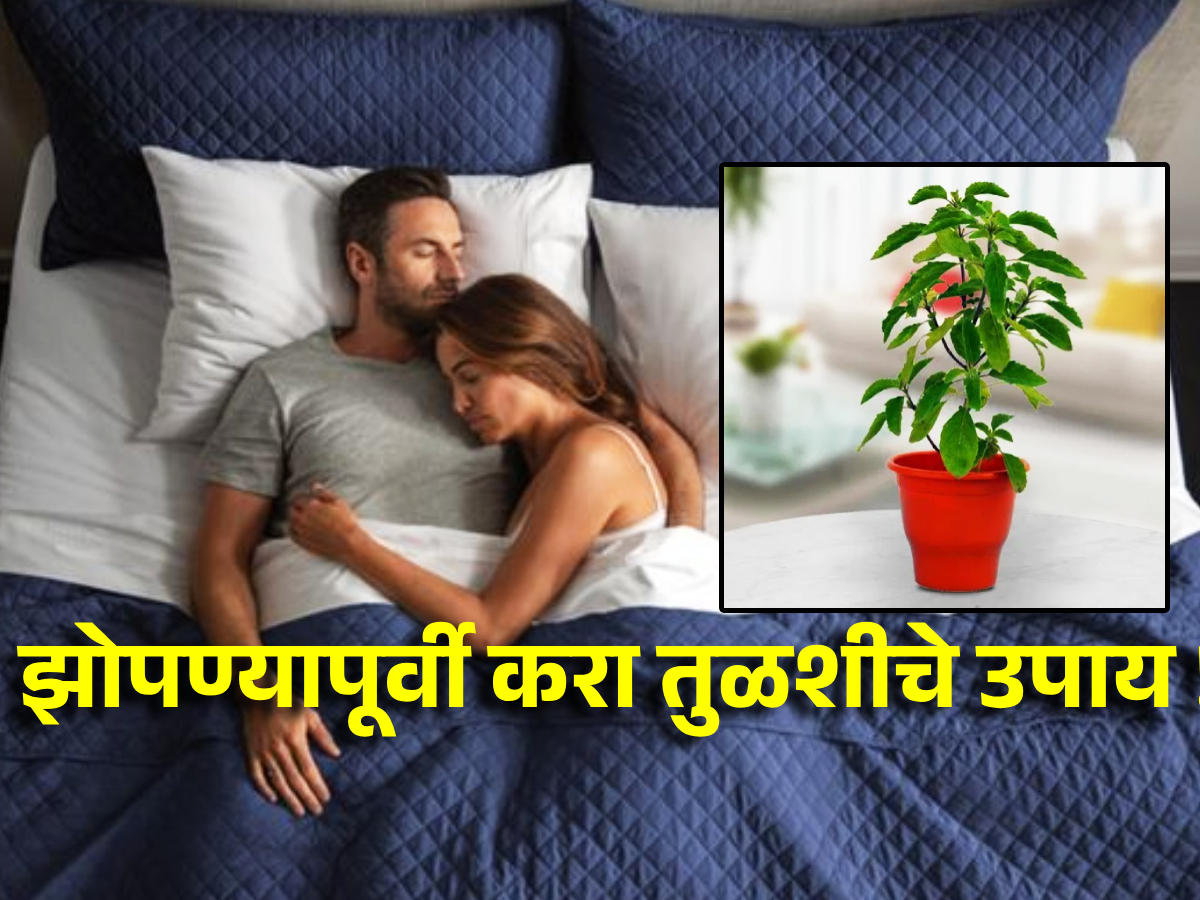 Astro Tips: तुळशीच्या पानात आहे सर्व समस्या दूर करण्याची ताकद; झोपण्यापूर्वी करा दिलेला उपाय ...