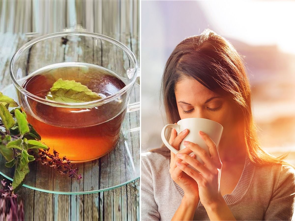 उत्तम आरोग्यासाठी प्या तुळशीचा गरमागरम चहा, तुळस घालून चहा करण्याच्या ३ ...