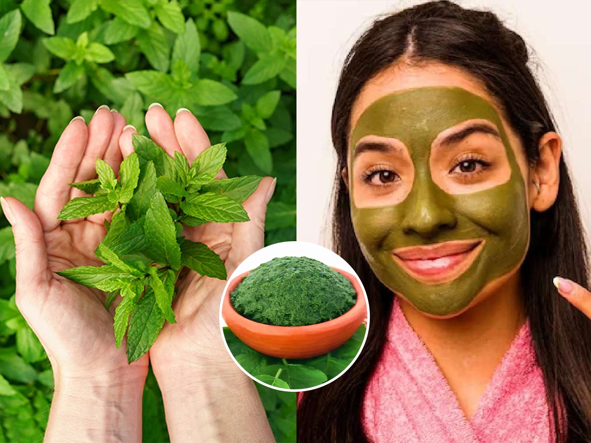 मुरुम,ओपन पोअर्स आणि ब्लॅकहेड्स होतील कमी, तुळशीच्या पानांचा ' असा ...